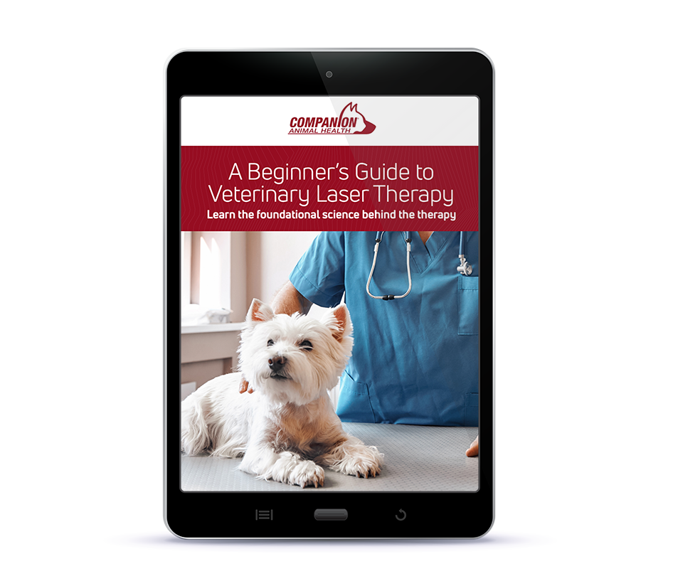 eBook | A Beginner's Guide to Veterinary Laser Therapy