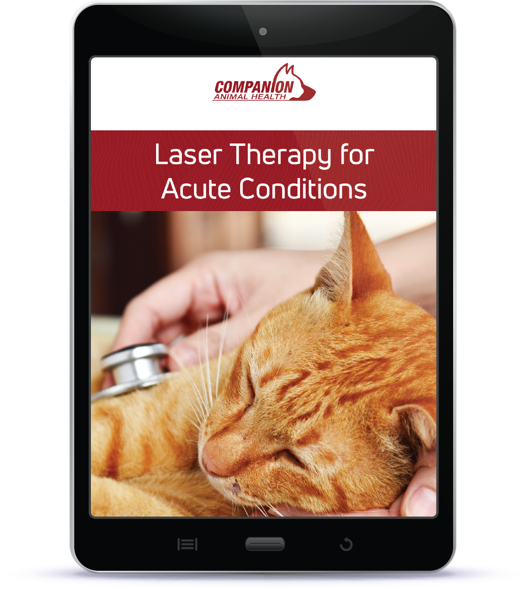 Download Laser Therapy for Acute Conditions | A Guide by Companion ...